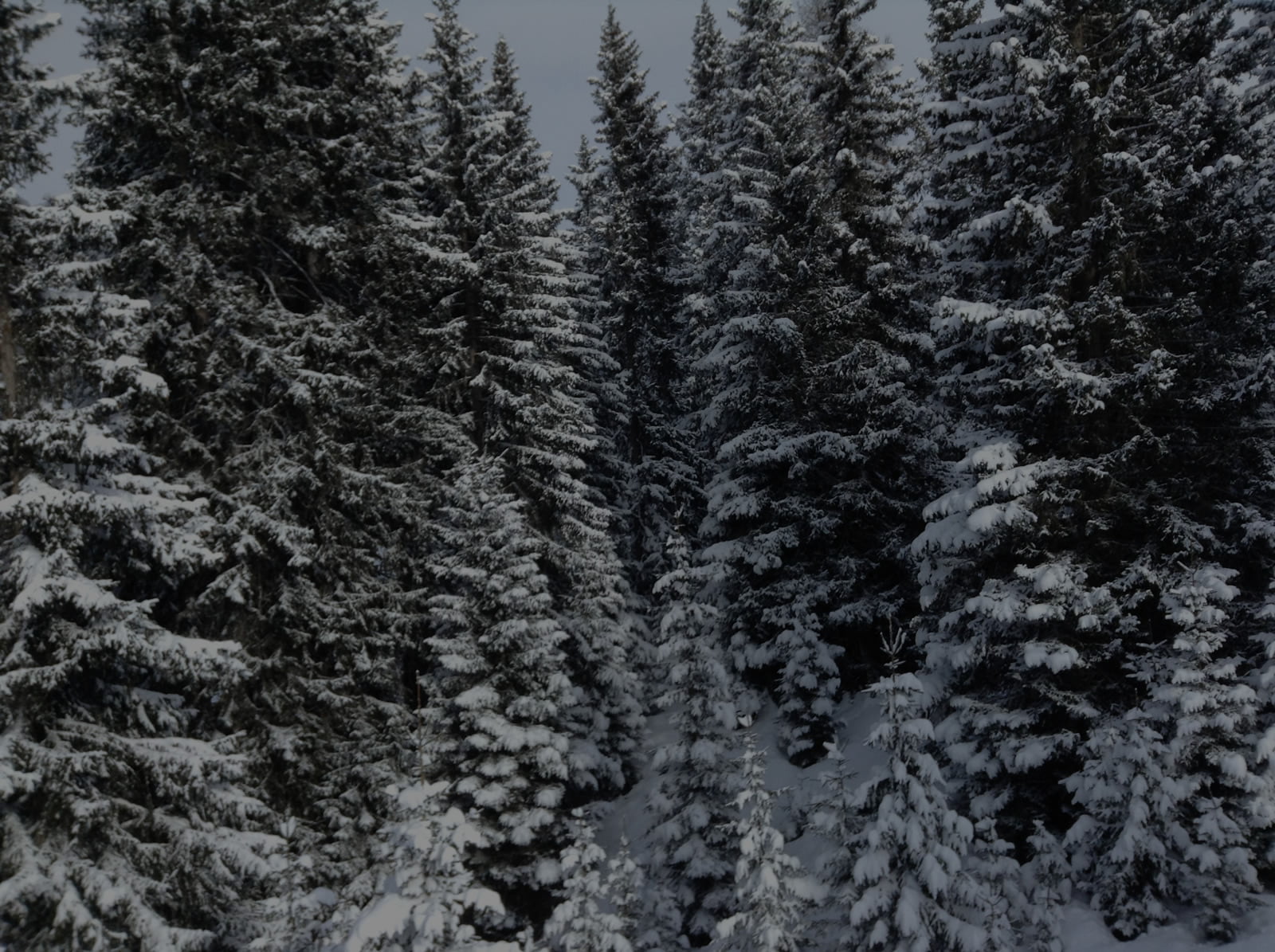 projects - RUTH WALL